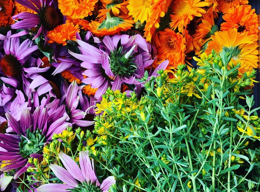 Foster Farm Botanicals: Normalcy In Nature.