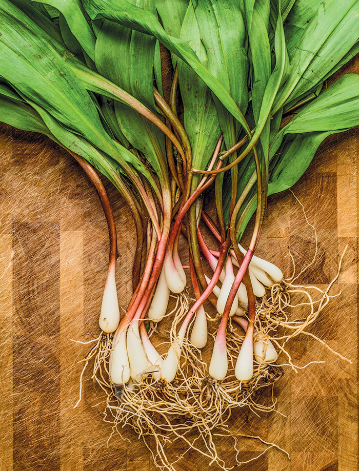 A Guide To Eating Local: Ramps and Robins, It Must Be Spring!