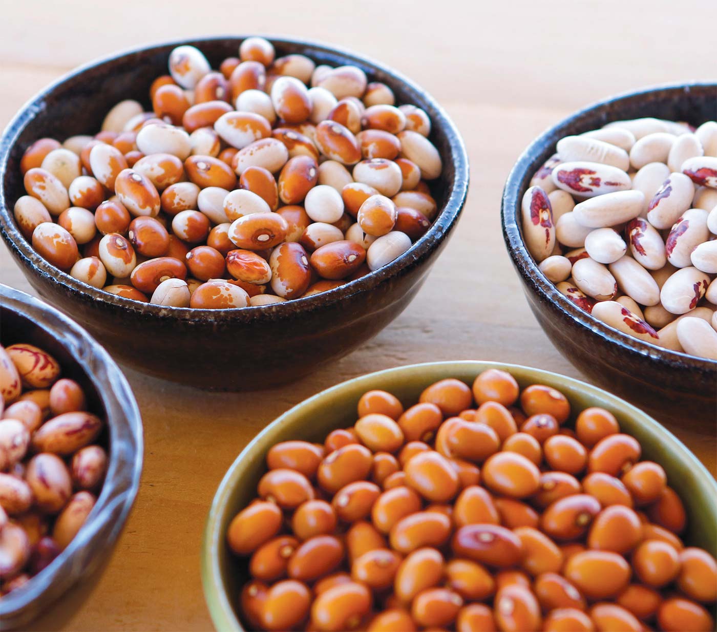 Vermont Bean Crafters, Warren Vermont's Bean Evangelists