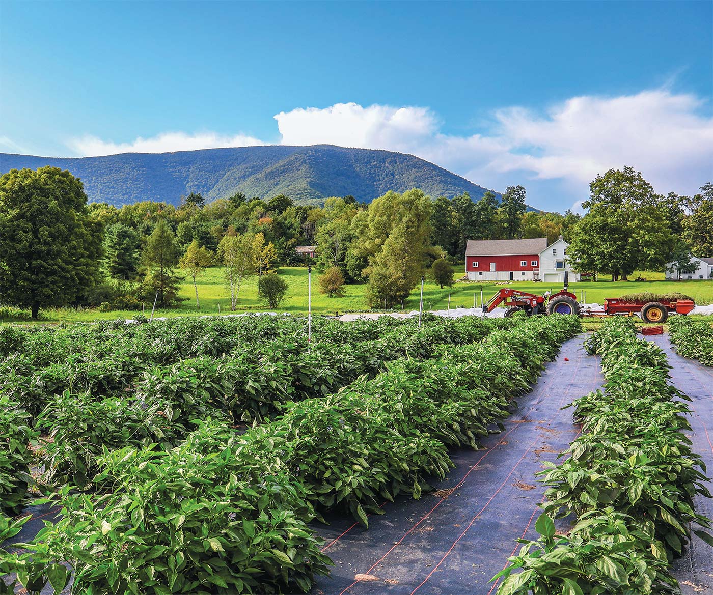 Shelburne Farms, Shelburne - Edible Vermont