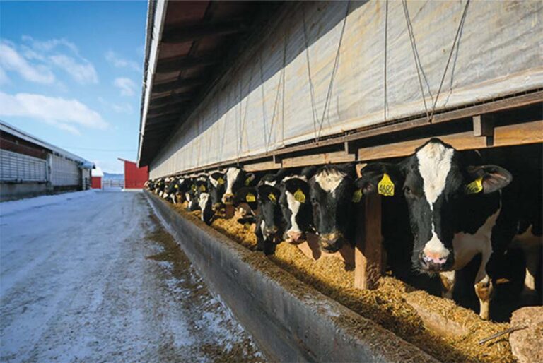 Jon Rooney, Monument Farms Dairy, Weybridge - Edible Vermont